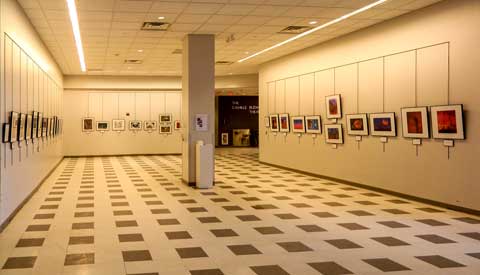 Gallery - Ossining Public Library